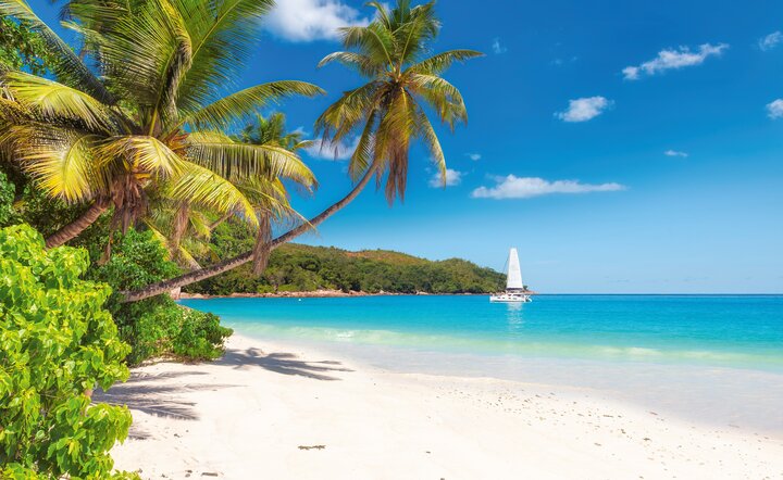 Polster & Pohl Reisen: Flugreise - Kuba